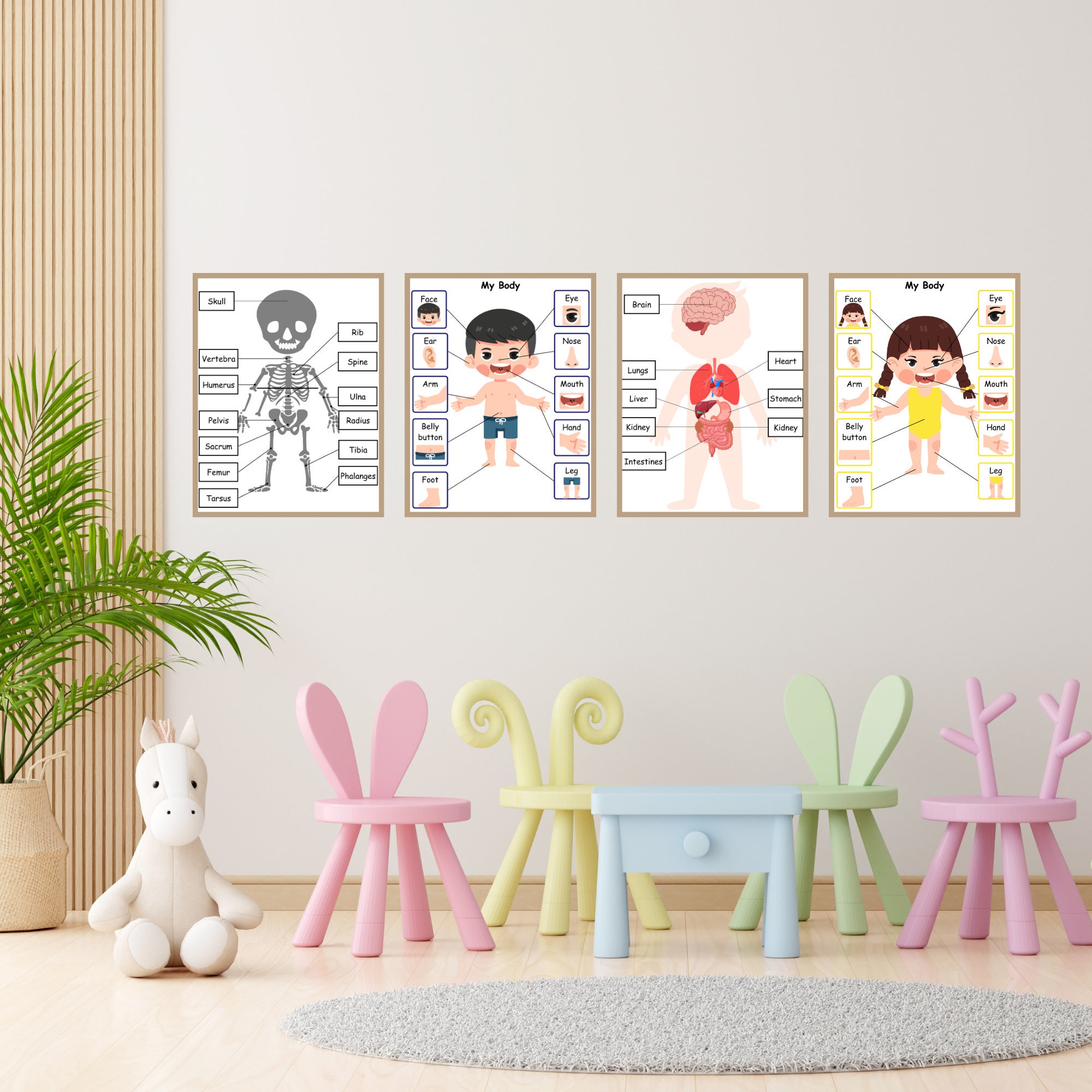 My Body Science Worksheets: Preschool Anatomy Activity (digital ...