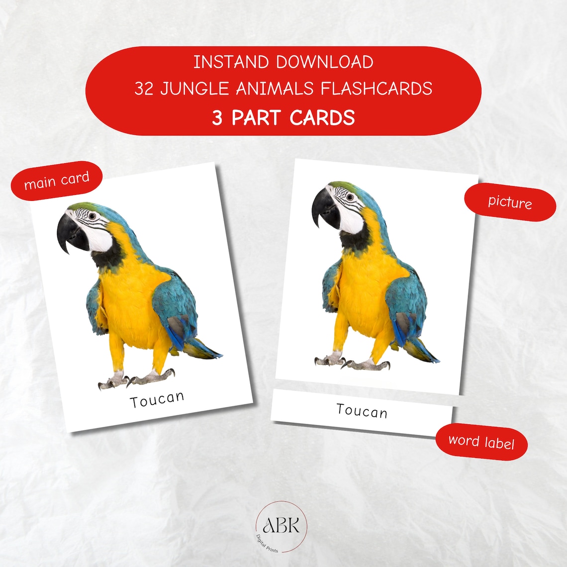 JUNGLE ANIMALS, Printable Jungle Animals,jungle Nursery Flash Cards for ...