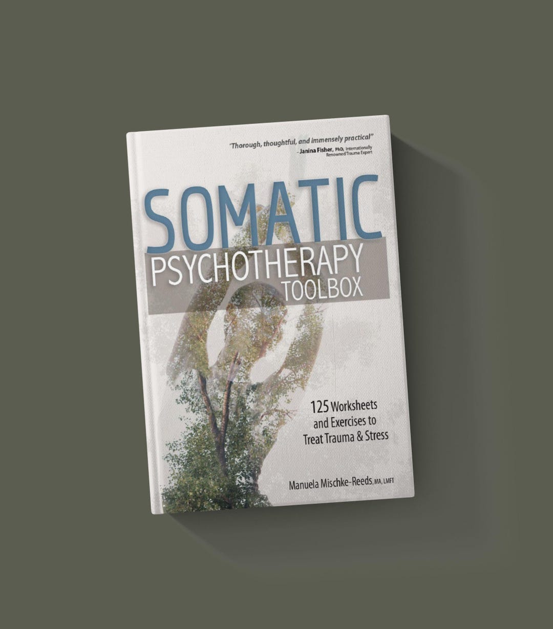 Somatic Psychotherapy Toolbox: 125 Worksheets and Exercises to Treat Trauma & Stress - Etsy