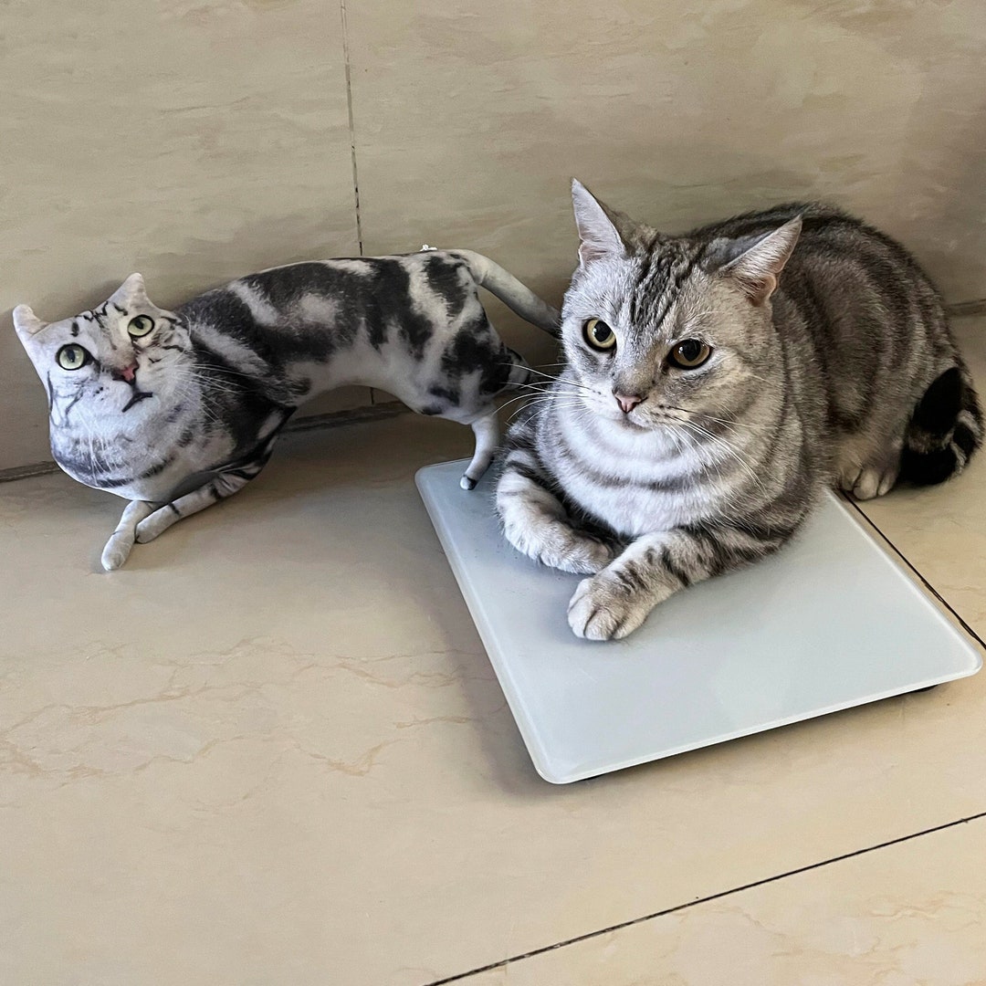 Ugly Cat Pillow, Custom Dog Pillow, Hilarious Pillow, Weird Pet Pillow ...