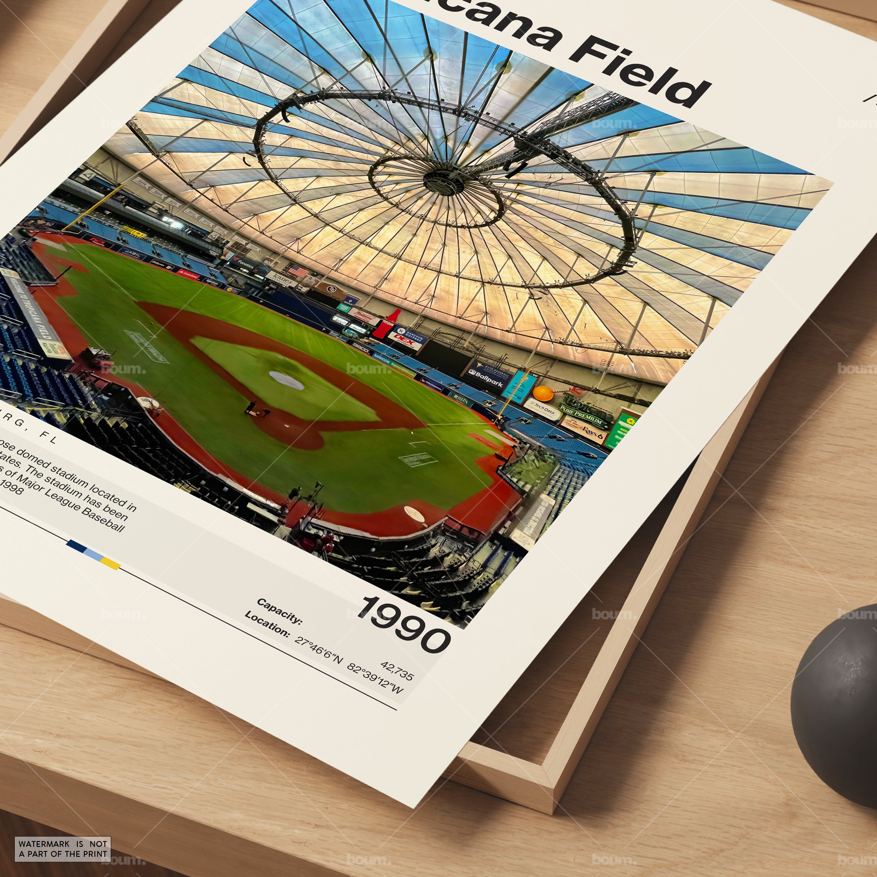 Tropicana Field Poster, Tampa Bay Rays Poster Print, MLB Stadium Poster ...