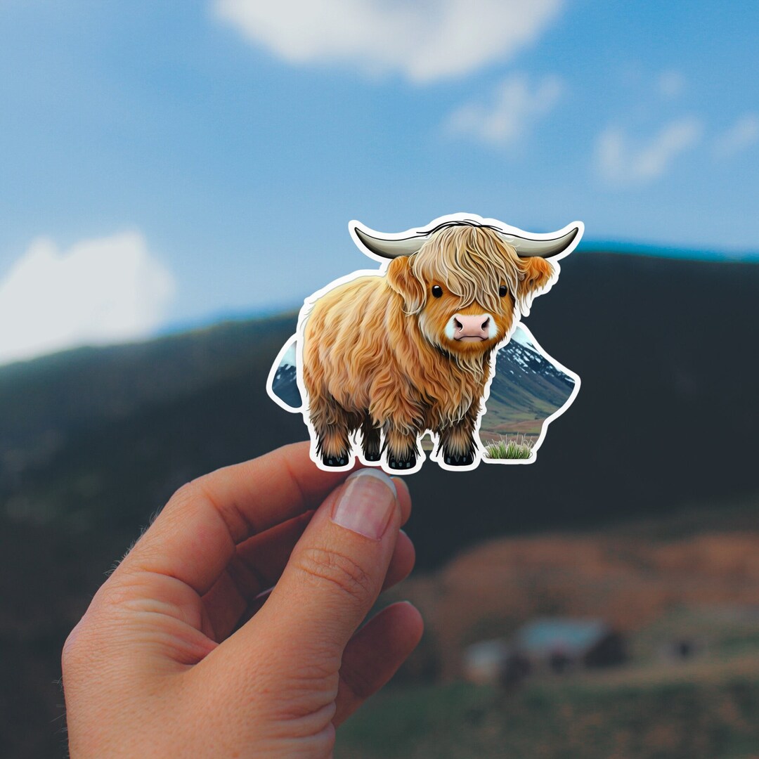 Highland Cow Sticker * Hairy Cow/coo * Water Bottle Sticker * Laptop ...