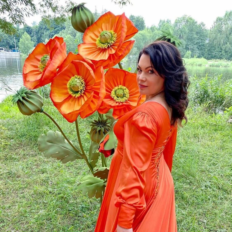 Poppy Window Displays - Etsy UK