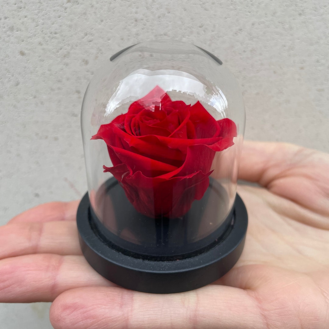 Mini Eternal Red Rose in Bell Jar - Gift for Her, Miniature Decoration, Eternal Rose Glass Bell ...