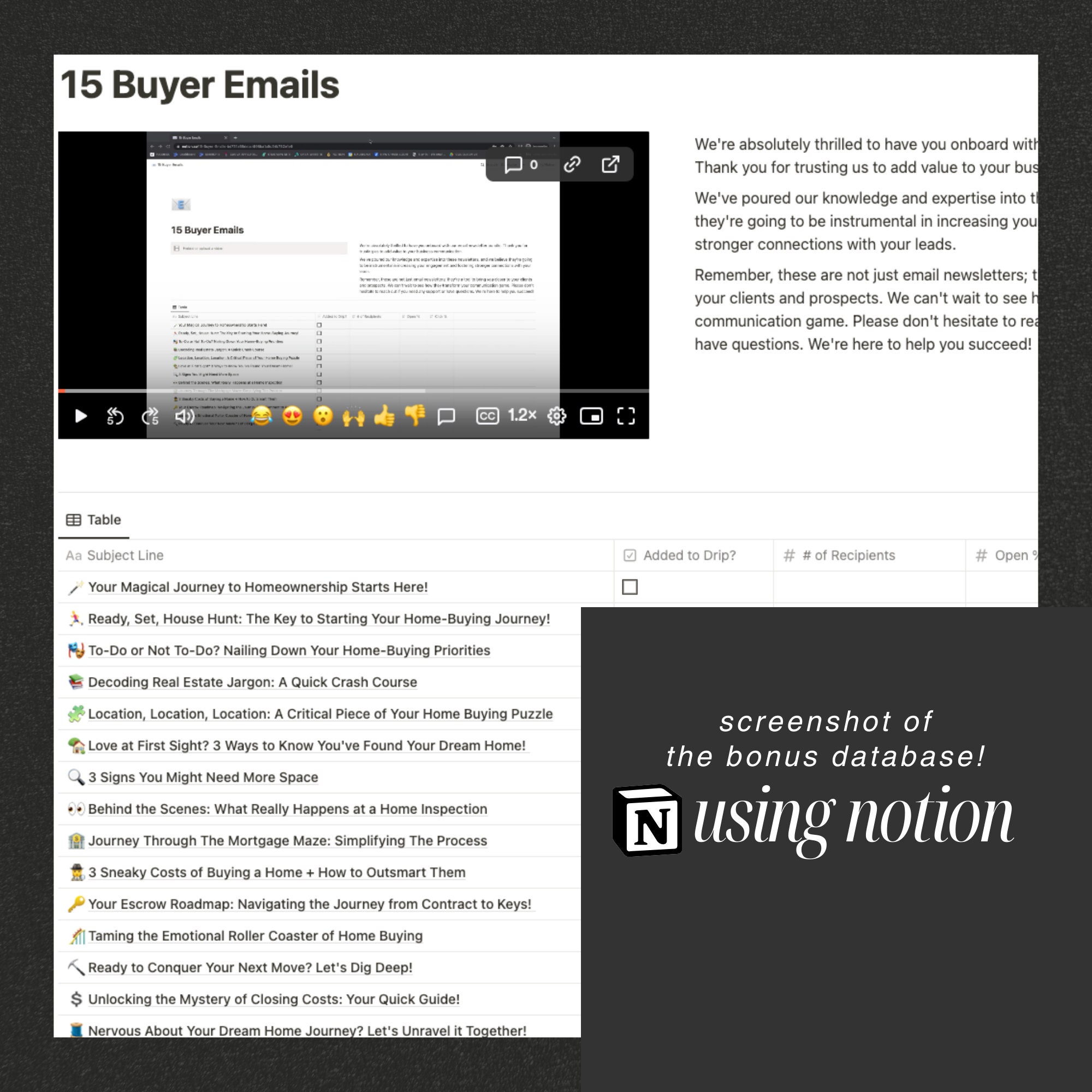 Professional Real Estate Email Newsletter Templates to Convert Leads ...
