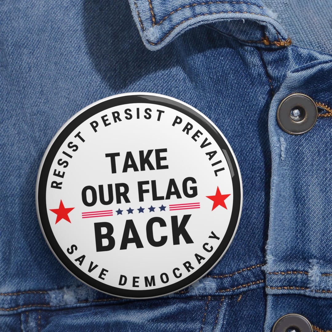 Take Our Flag Back, Save Democracy Political Activist Pins ...