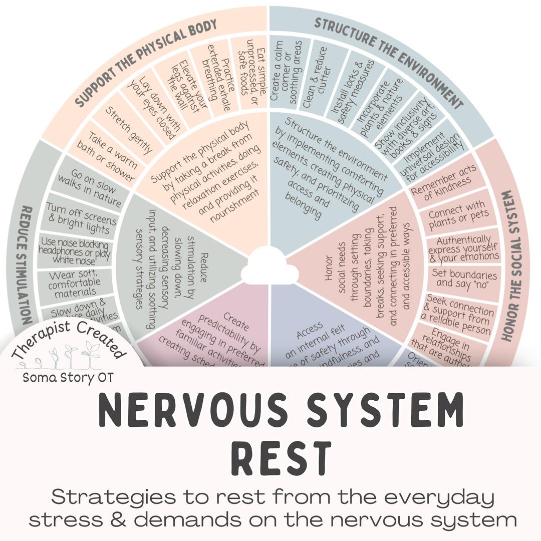 Nervous System Regulation Rest Wheel: Somatic Therapy & Self Care Tool ...