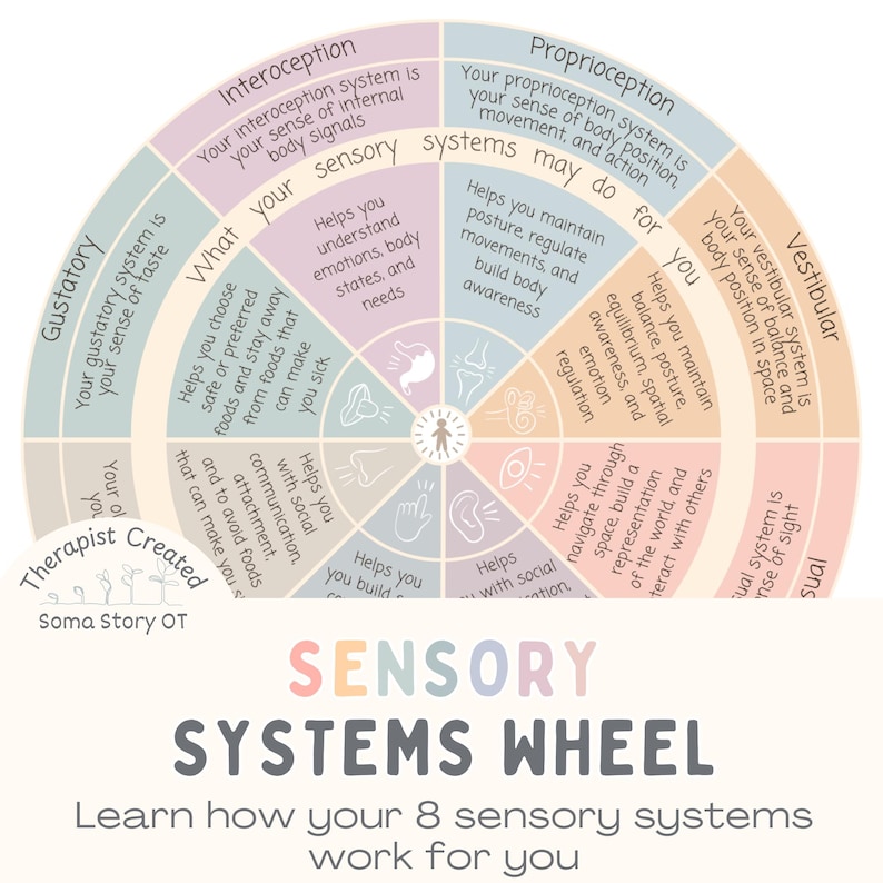 Sensory Systems Wheel Poster: Occupational Therapy, Sensory Processing ...