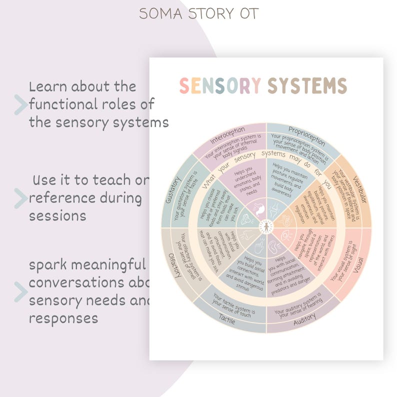 Sensory Systems Wheel Poster: Occupational Therapy, Sensory Processing ...