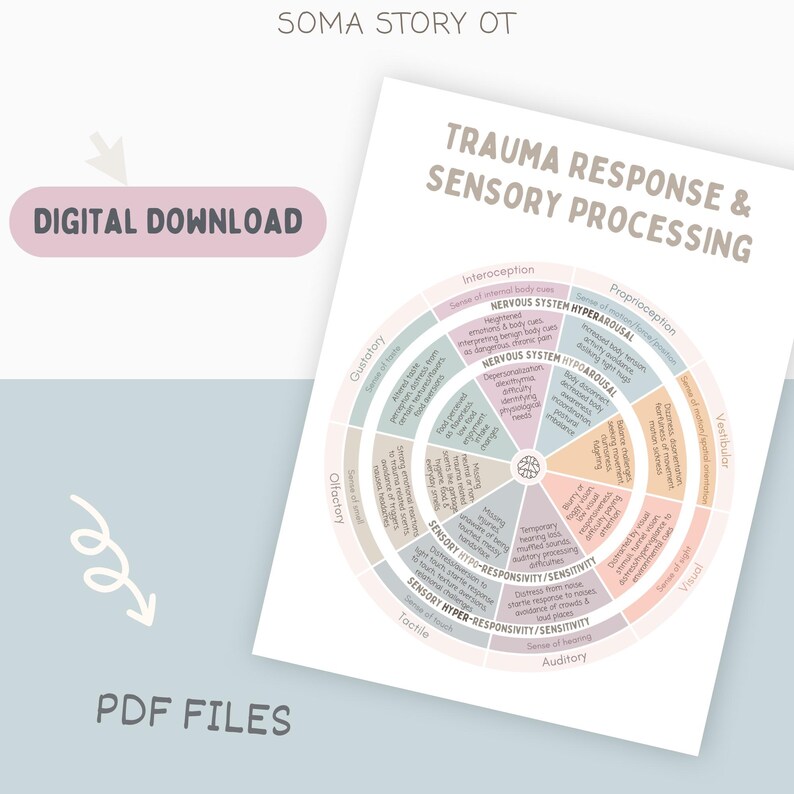 Trauma Response & Sensory Processing Wheel; for Nervous System ...
