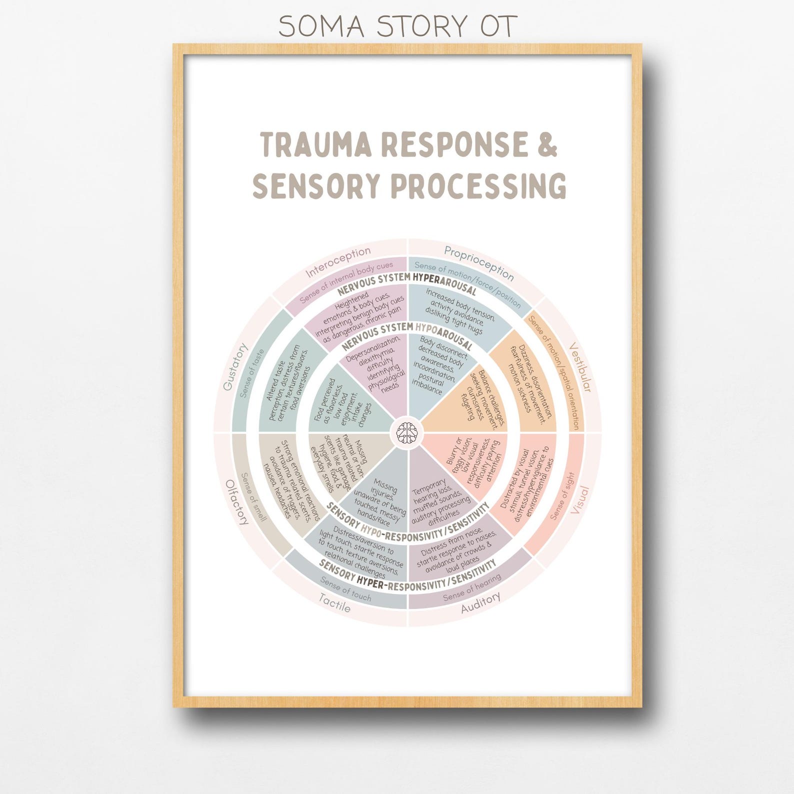 Trauma Response & Sensory Processing Wheel; for Nervous System ...