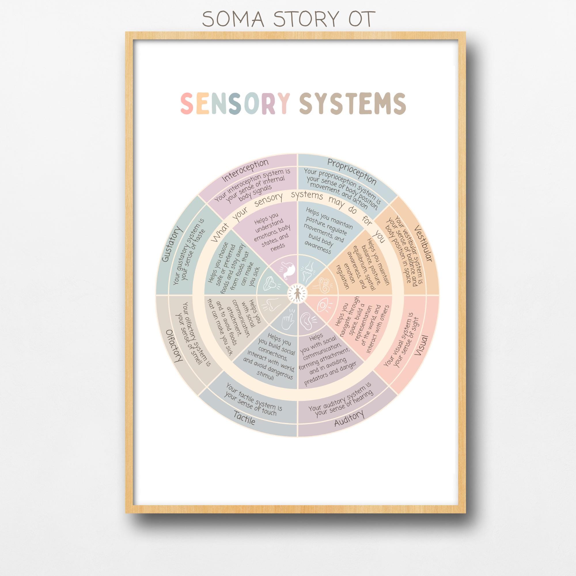 Sensory Systems Wheel Poster: Occupational Therapy, Sensory Processing ...