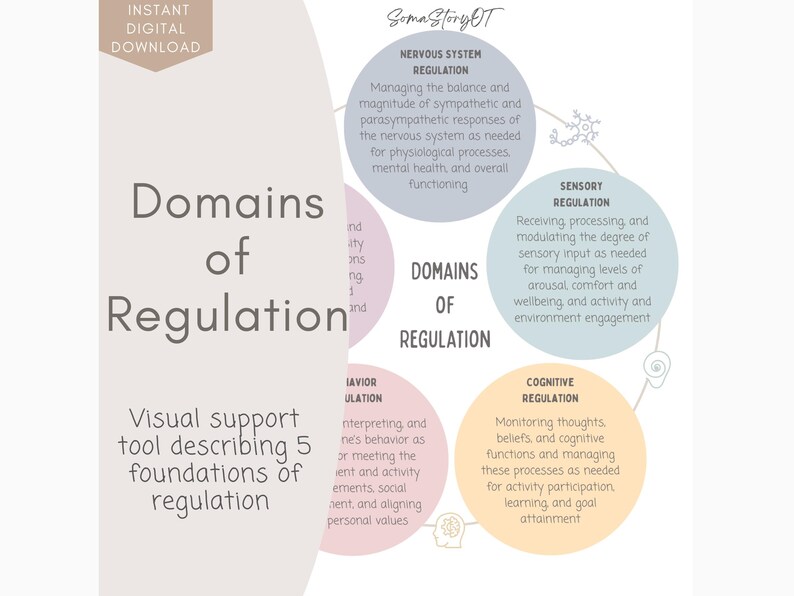 Domains of Regulation Printable, Emotion Regulation, Nervous System ...