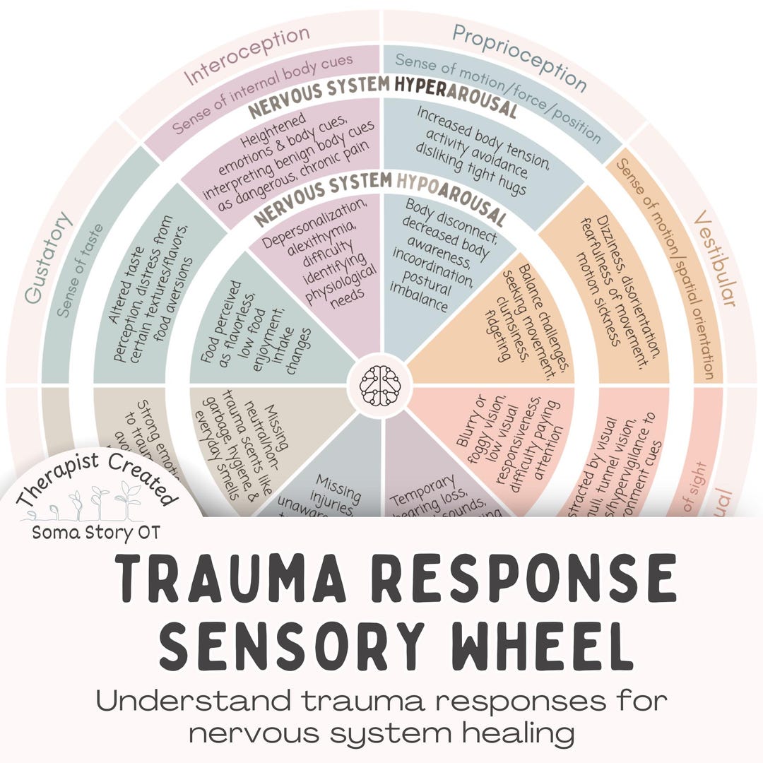 Trauma Response & Sensory Processing Wheel; for Nervous System ...