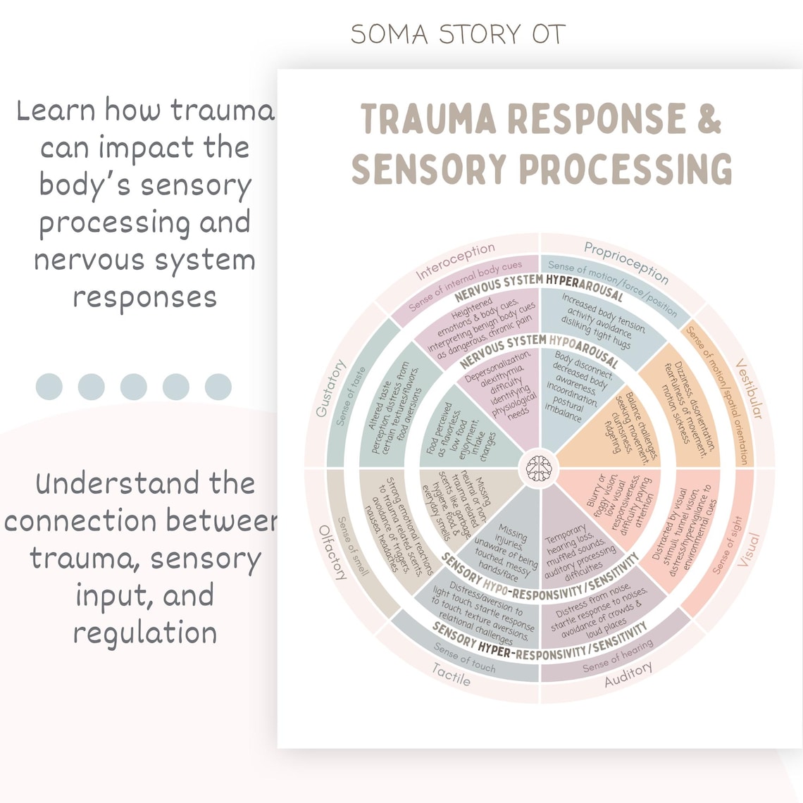 Trauma Response & Sensory Processing Wheel; for Nervous System ...