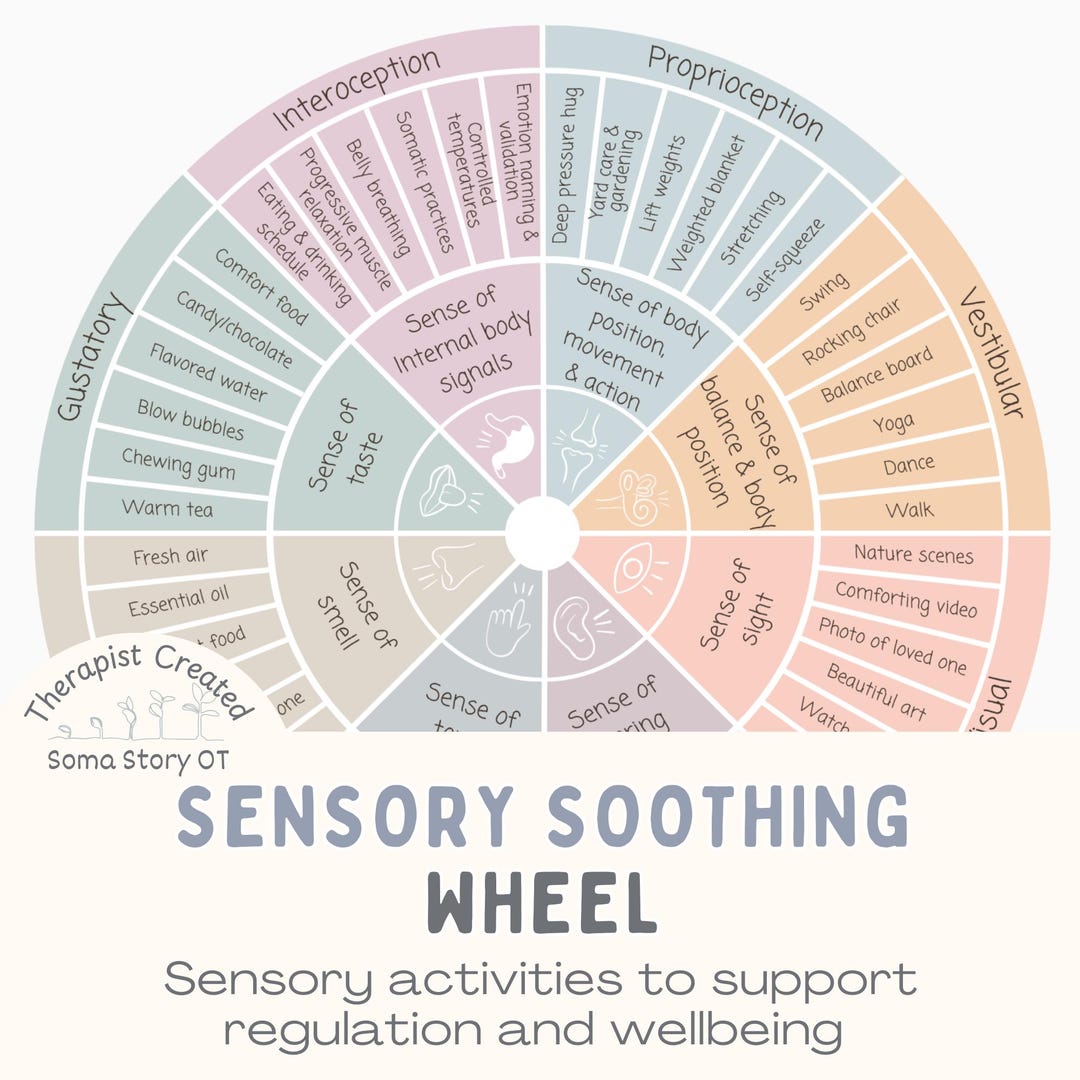 Sensory Soothing Wheel: Sensory Activities for Nervous System ...