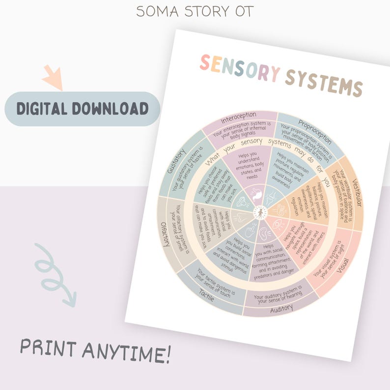 Sensory Systems Wheel Poster: Occupational Therapy, Sensory Processing ...
