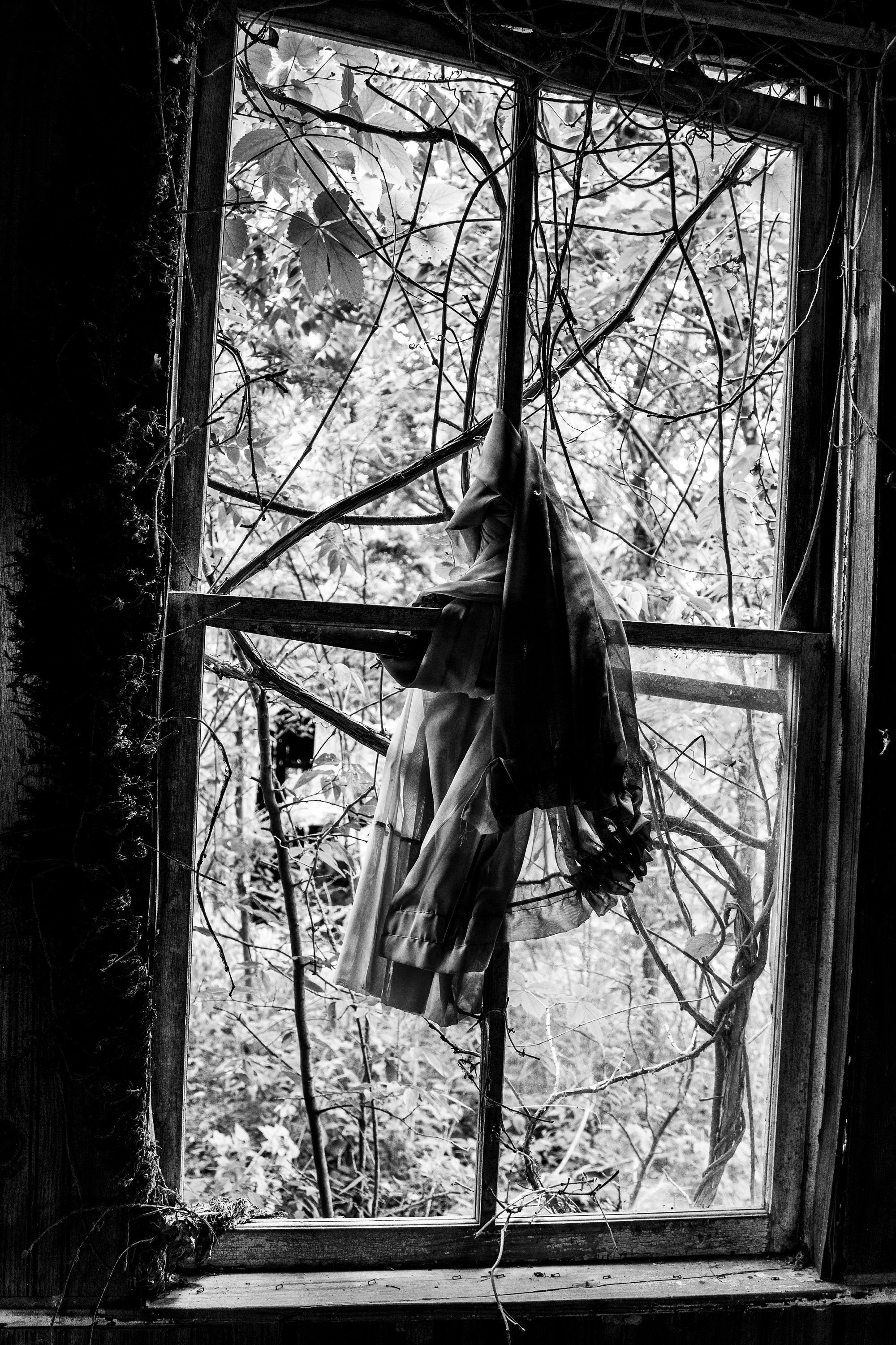Haunted Window, Missouri Farmhouse, High Quality Digital Prints ...
