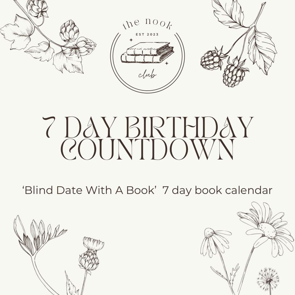Book Birthday Countdown Calendar, Blind Date With A Book, Book Lovers ...