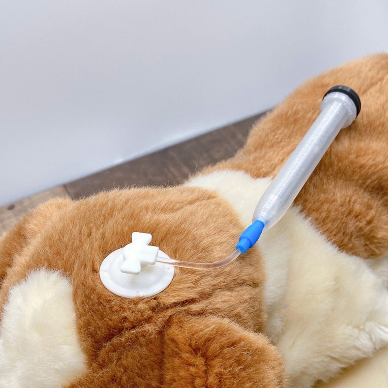 TheButterflyPig - Etsy