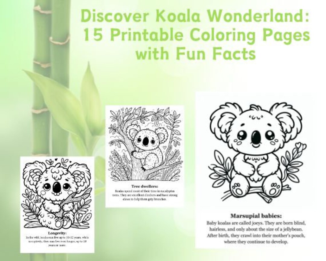 Discover Koala Wonderland Printable Coloring Pages W/fun Facts ...