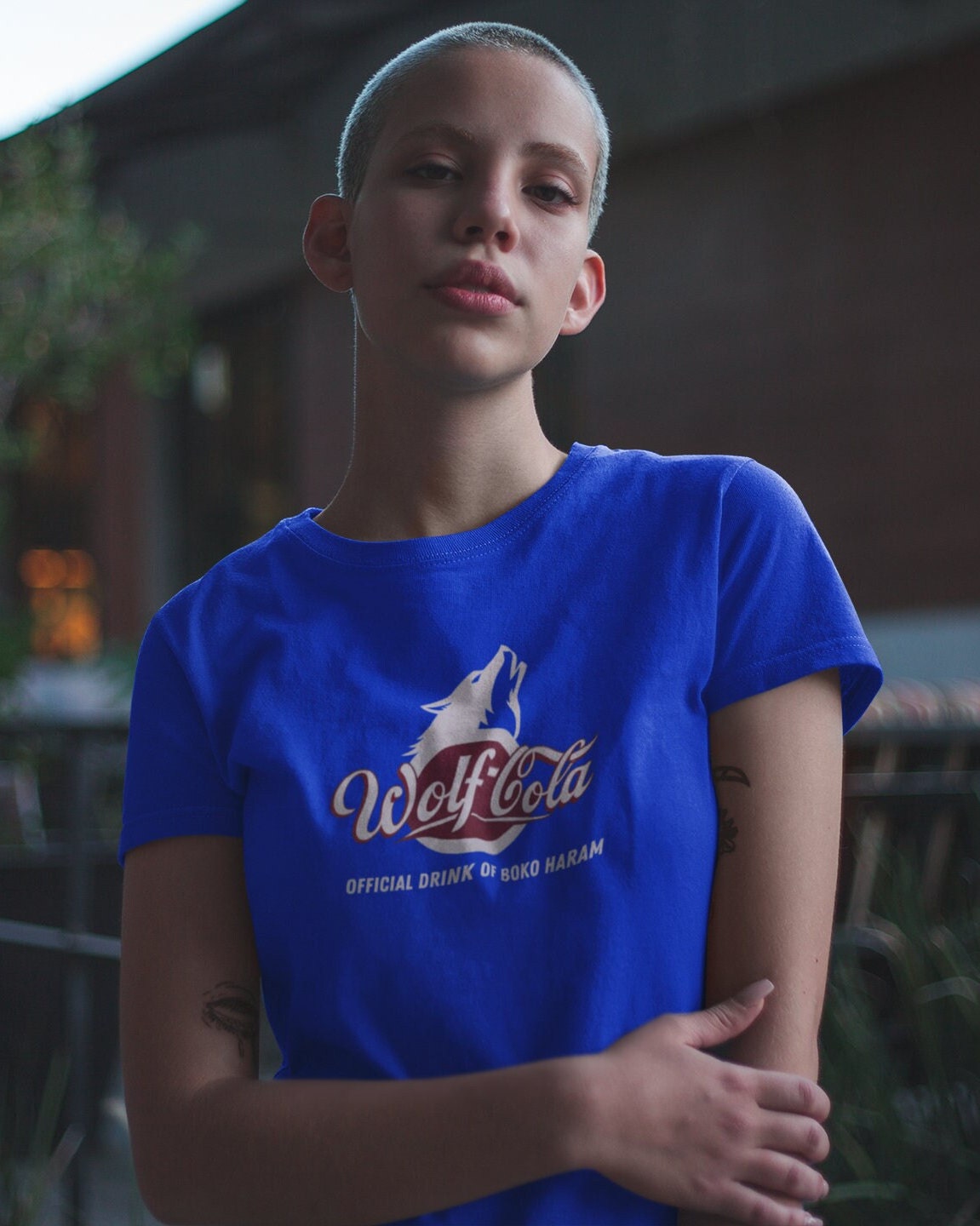 Always Sunny Wolf Cola Funny T Shirt, Charlie Mac Dee Frank Sunny in ...