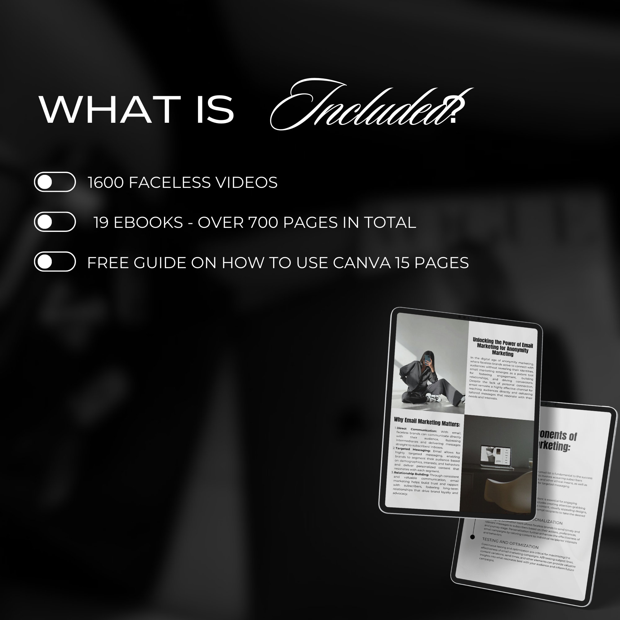 2000+ Faceless Digital Marketing Bundle | PLR Digital Products Bundle ...