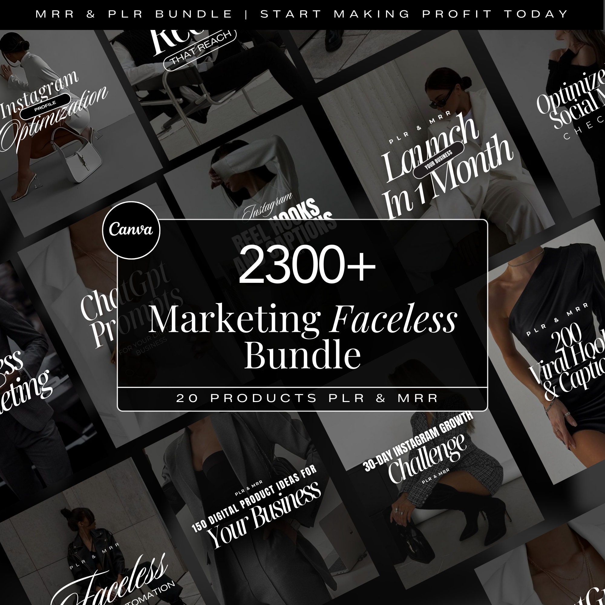 2000+ Faceless Digital Marketing Bundle | PLR Digital Products Bundle | Done-for-you Faceless ...