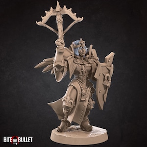 Battle Sisters Pt2, Battle Sisters, Fighter, Paladin, Saint, Modular ...