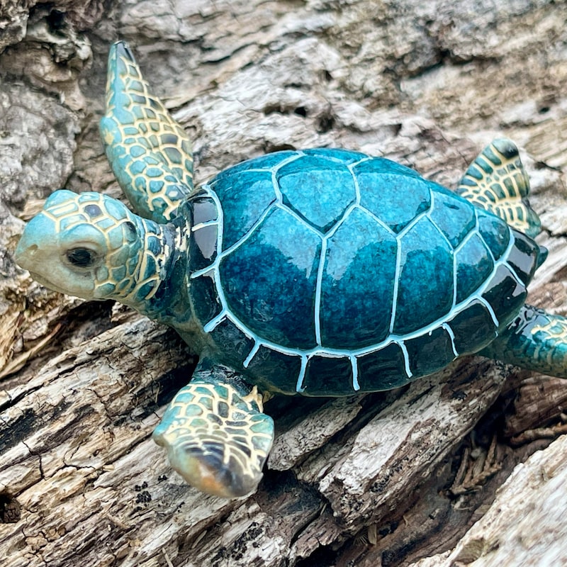 Large Decorated Turtle Box - Etsy Canada