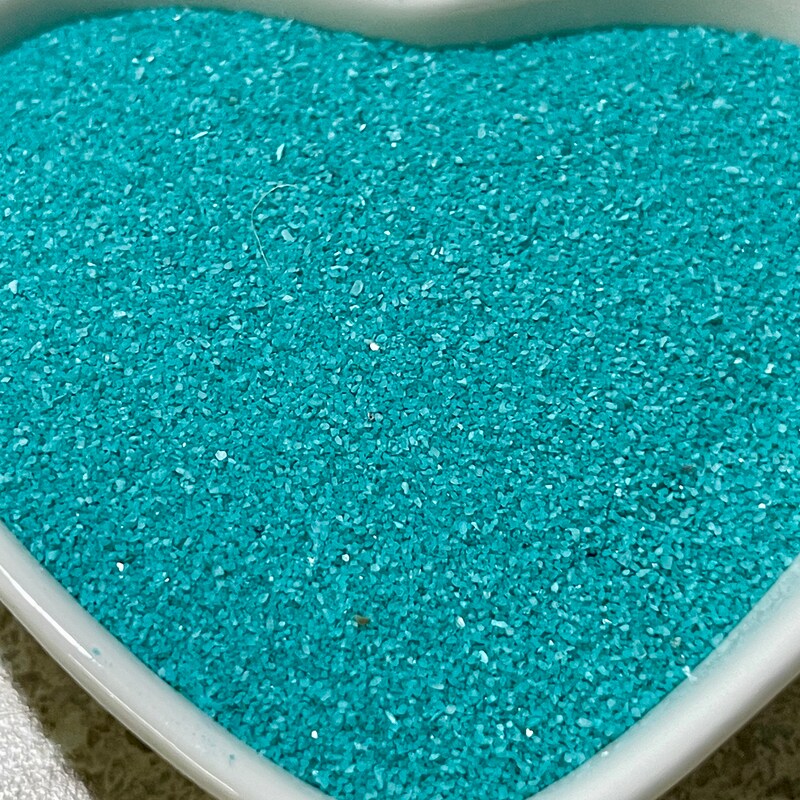 Turquoise Seashells - Etsy