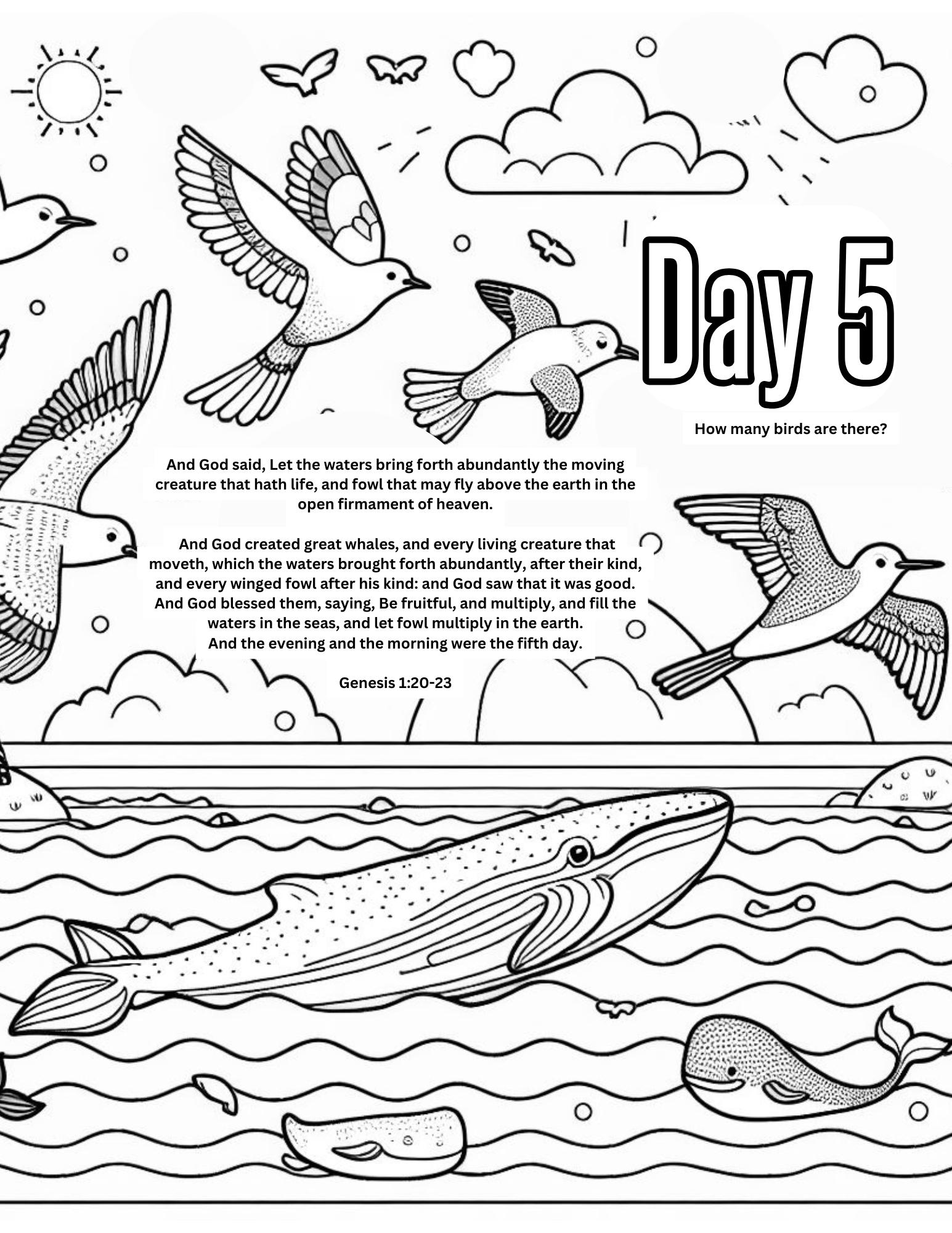Genesis 1-2 Creation Story Coloring Pages | Color the Bible for ...