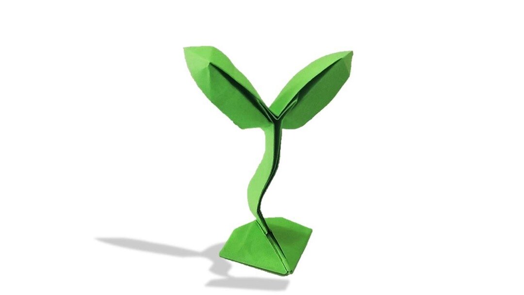 Origami Plant Sprout - Etsy