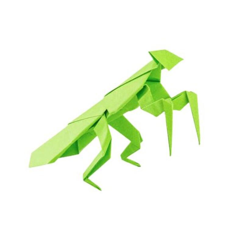 Origami Praying Mantis - Color and Size Variation - Etsy