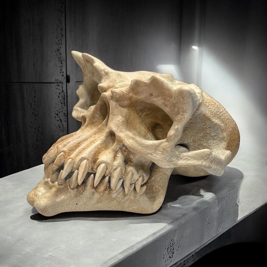 Made to Order Handpainted 3D Printed Gremlin Skull Horror Prop - Etsy