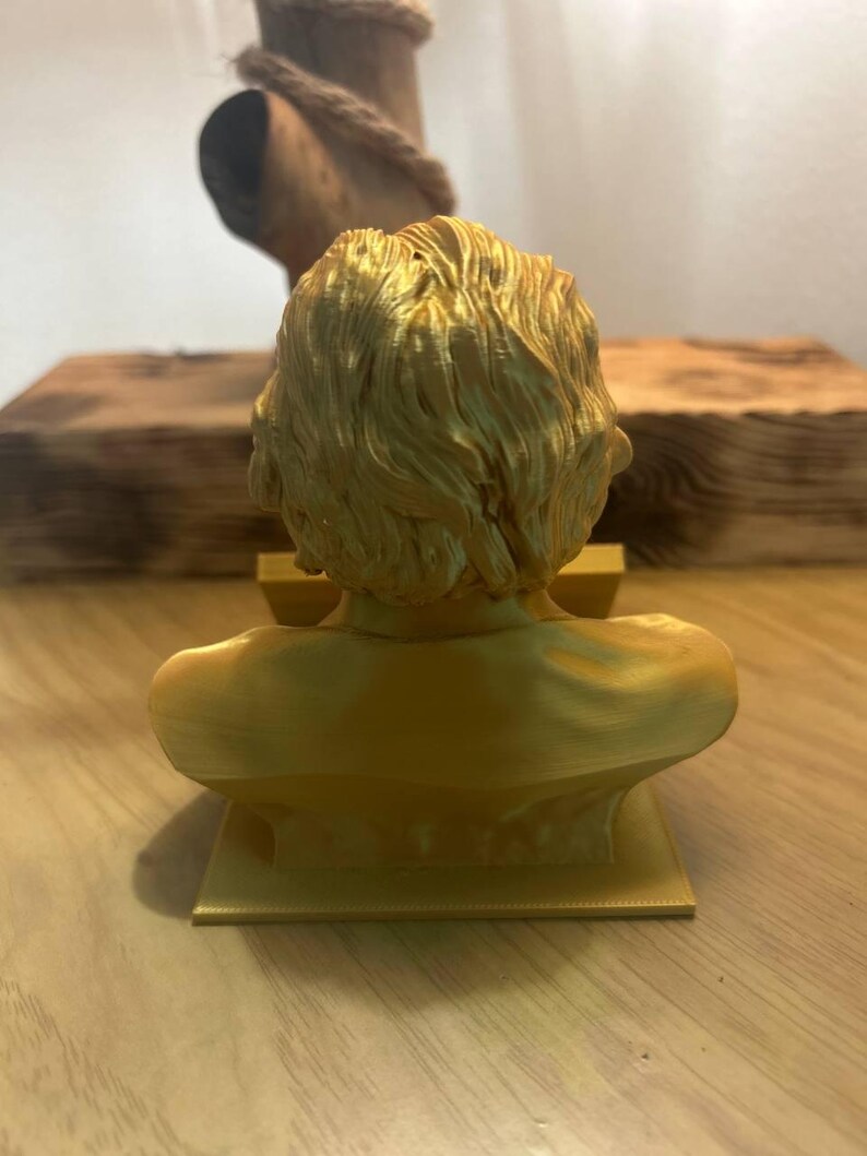 Albert Einstein, Figurine, Decoration, Quote, Istria, Plastic, 3D ...
