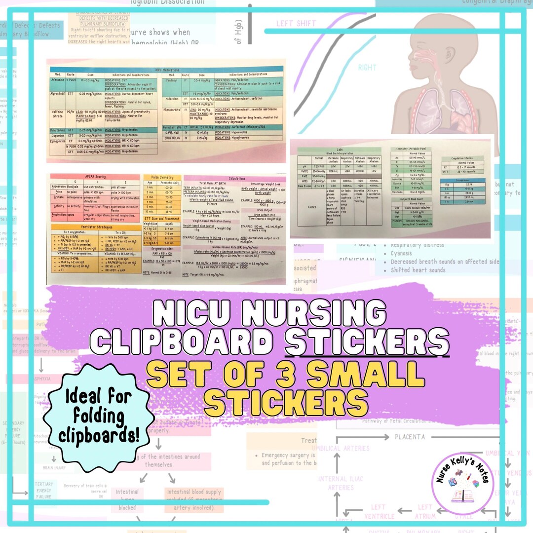 NICU Nursing Stickers for Clipboard 3 Small Stickers for Folding ...