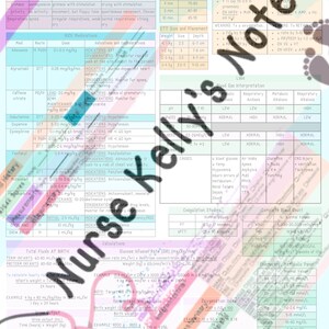 NICU Nursing Stickers for Clipboard (large, Set of 2) | Neonatal ...