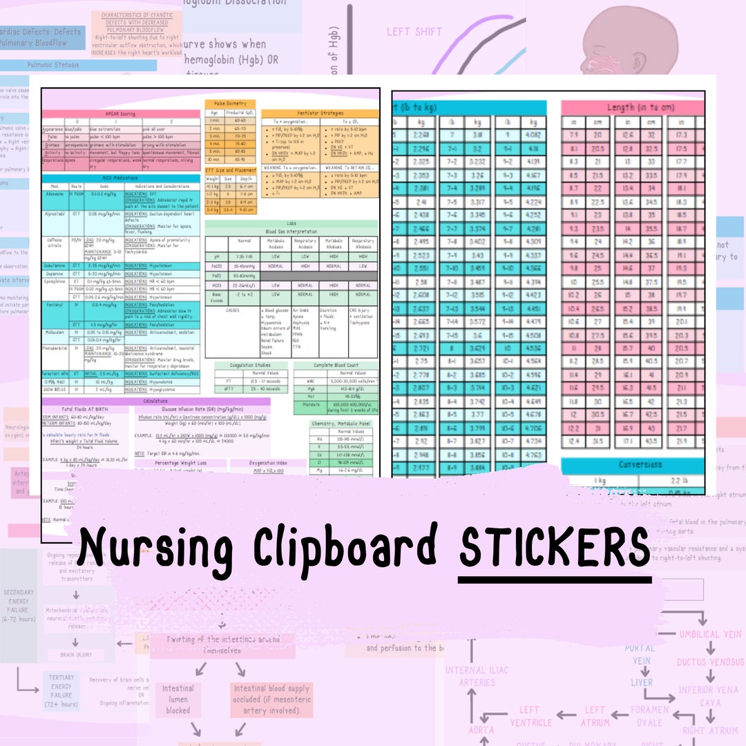 NICU Nursing Stickers for Clipboard Perinatal and Neonatal Resources - Etsy