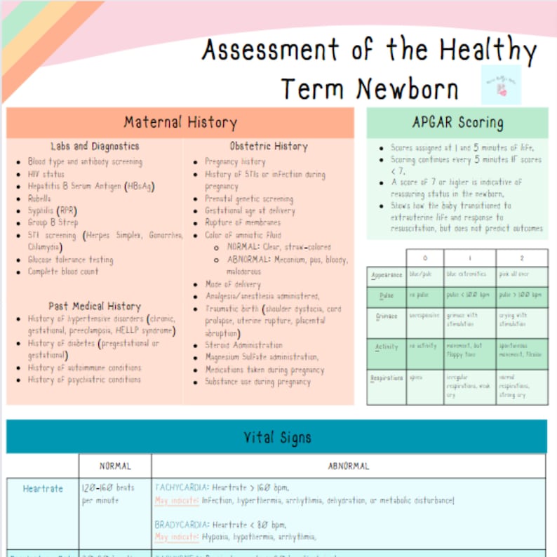 Newborn Assessment Notes and Documentation Template | Study Guides for ...