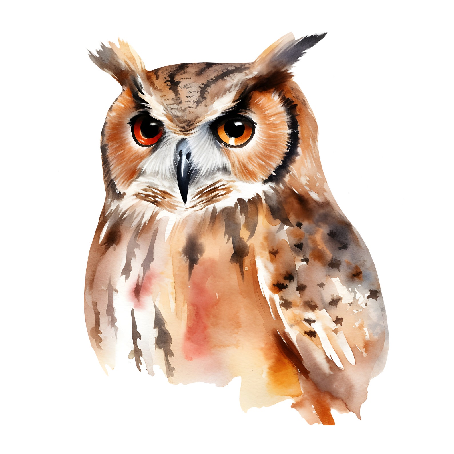 10 Watercolor Owl Clipart Aquarelle Owl Clipart Nature - Etsy