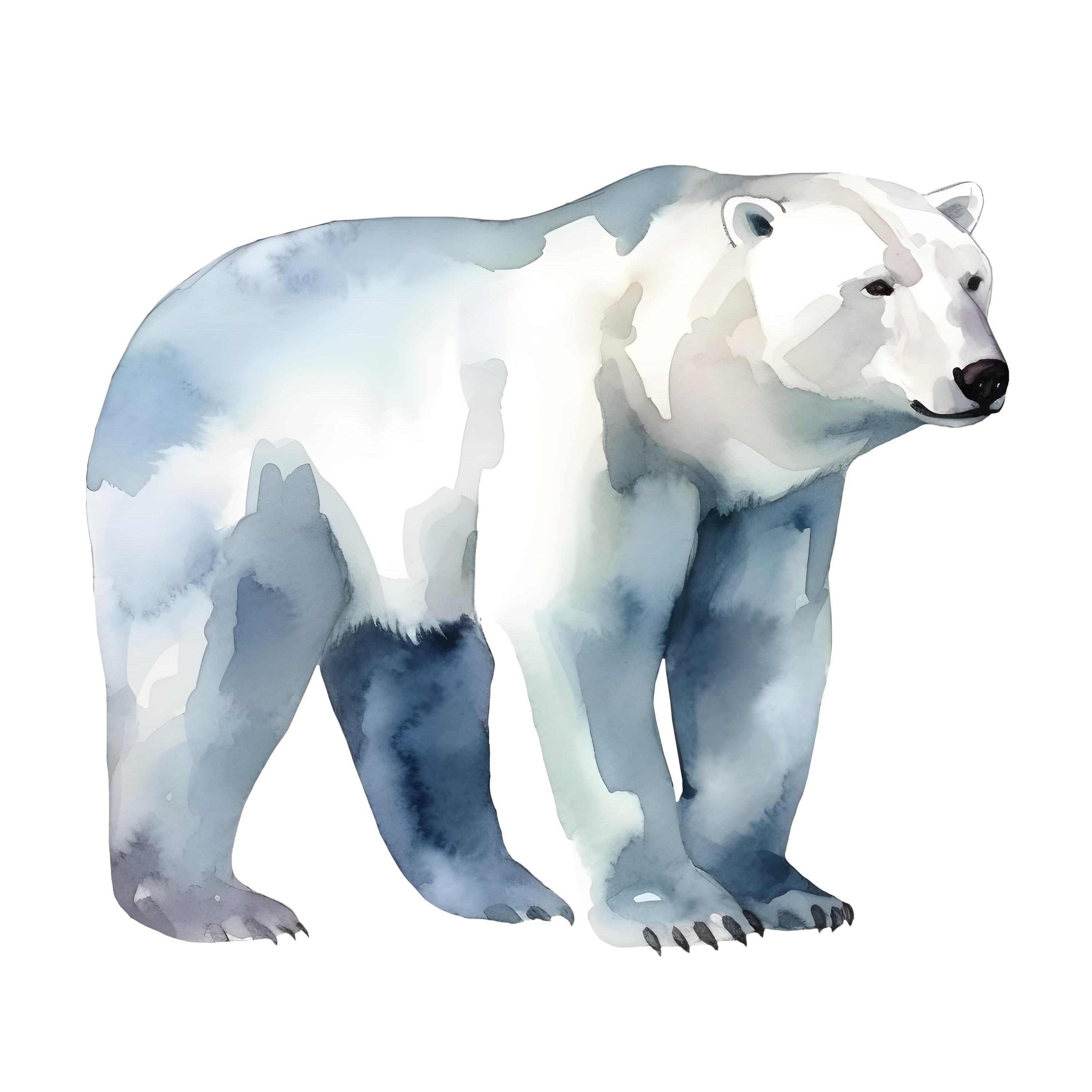 10 Watercolor Polar Bear Clipart, Aquarelle Bear Clipart, Arctic Animal ...