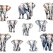 60 Watercolor Savanna Animal Clipart, Aquarelle Elephant Giraffe Lion ...