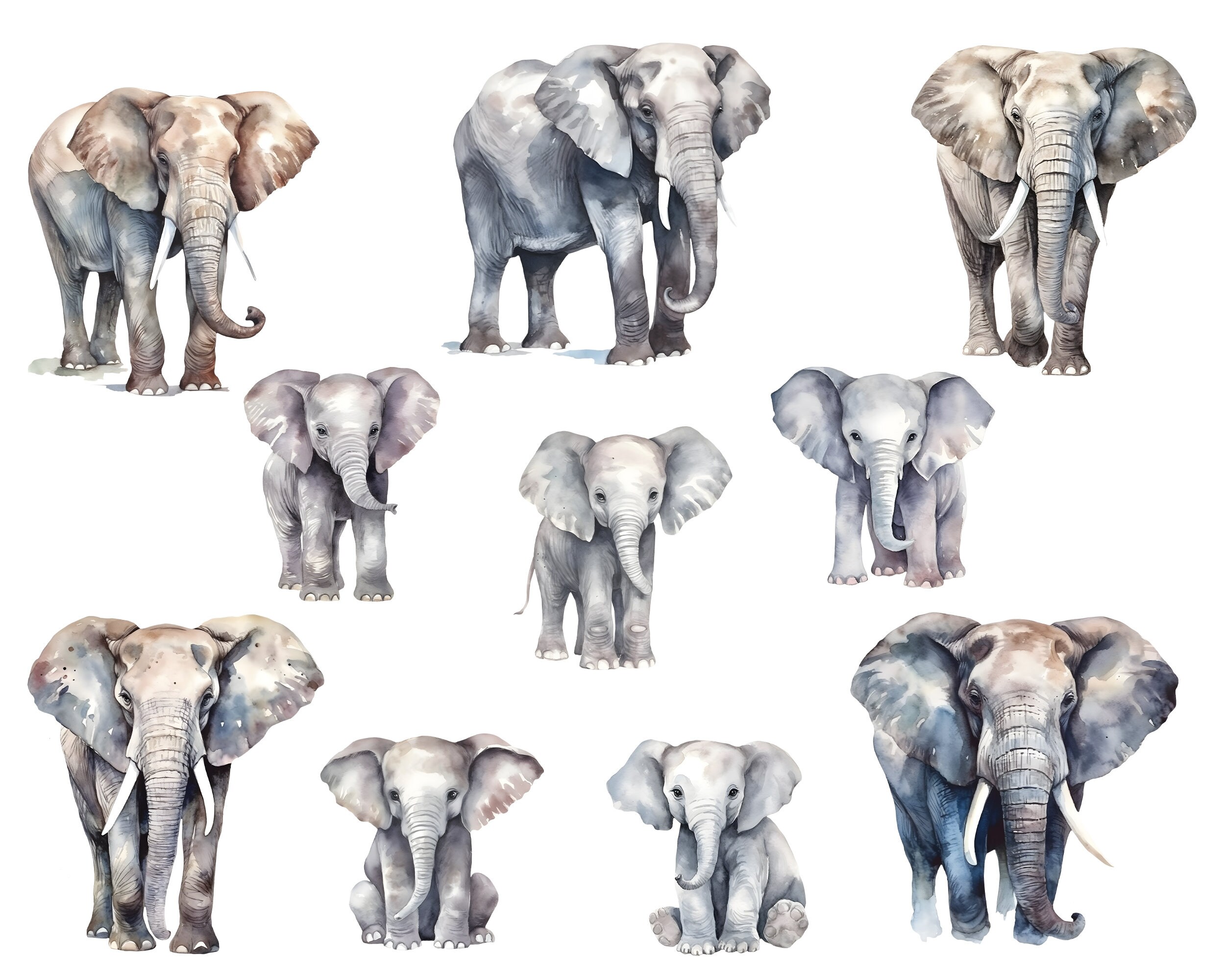 60 Watercolor Savanna Animal Clipart, Aquarelle Elephant Giraffe Lion ...