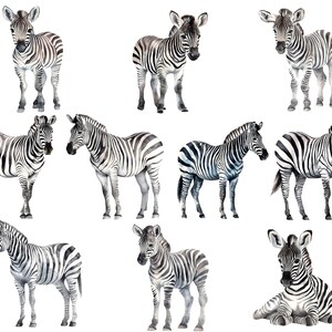 60 Watercolor Savanna Animal Clipart, Aquarelle Elephant Giraffe Lion ...