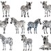 60 Watercolor Savanna Animal Clipart, Aquarelle Elephant Giraffe Lion ...