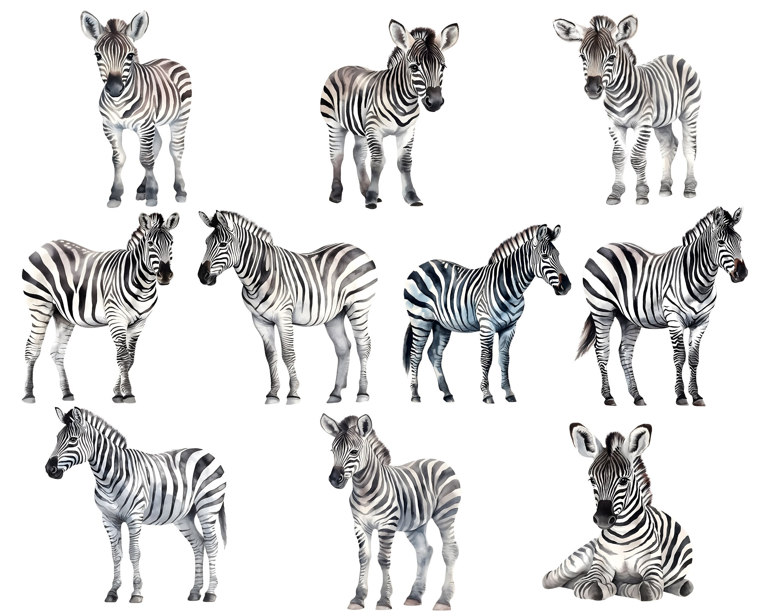 60 Watercolor Savanna Animal Clipart, Aquarelle Elephant Giraffe Lion ...