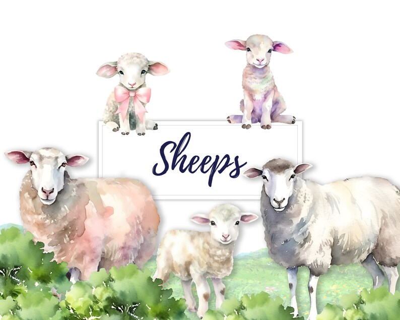 10 Watercolor Sheep Clipart, Aquarelle Drawing Sheep Clipart, Farm ...