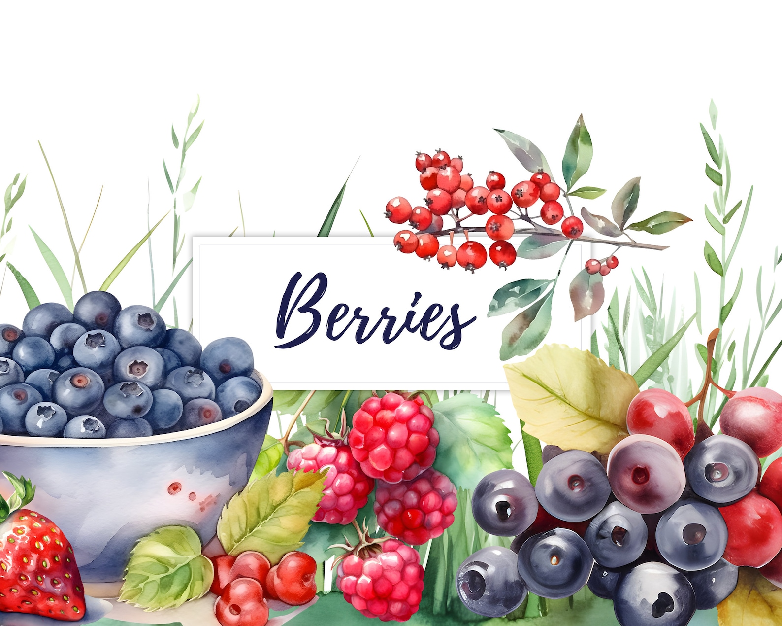20 Watercolor Berry Clipart, Aquarella Berry Clipart, Food Clipart, PNG ...
