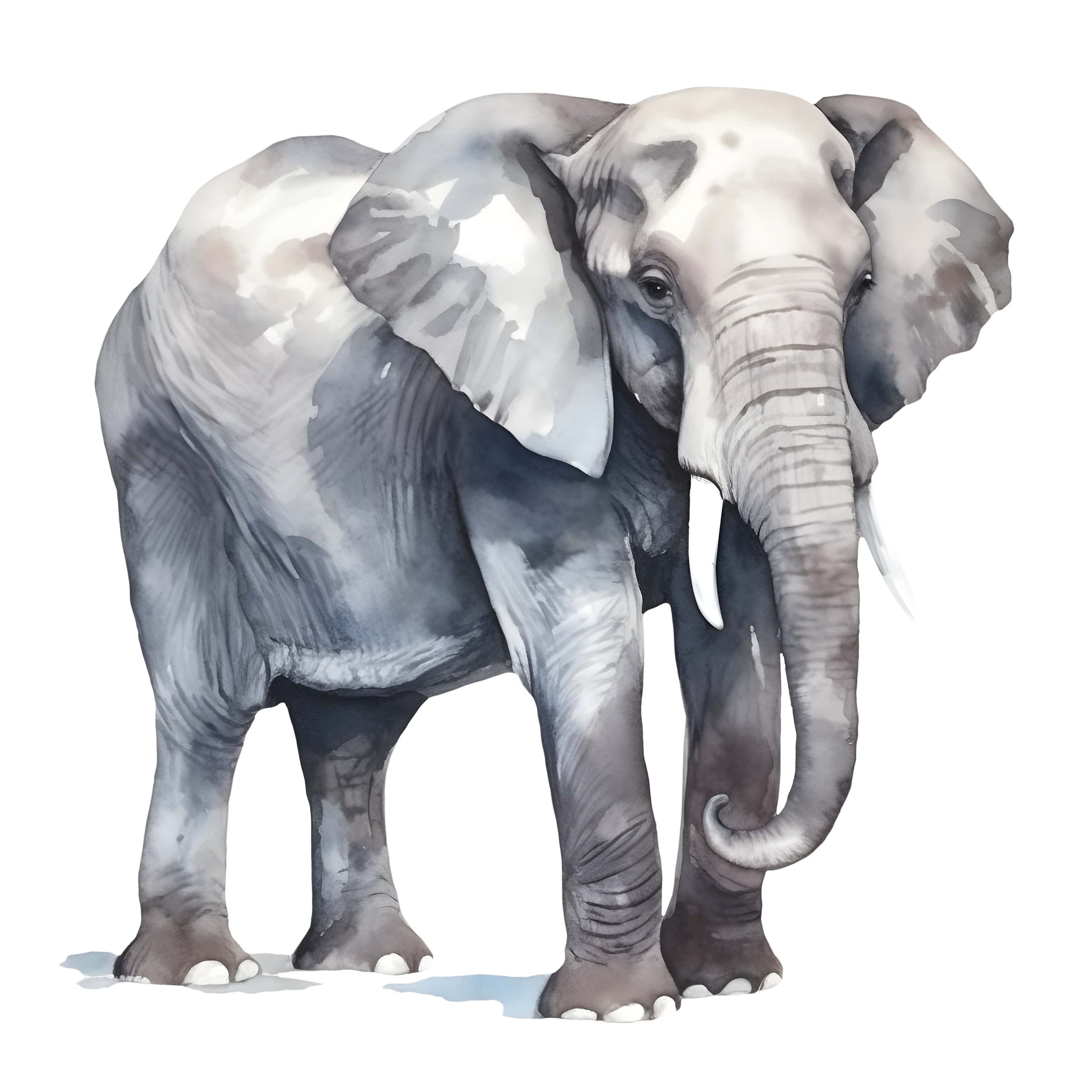 10 Watercolor Elephant Clipart, Aquarelle Elephant Calf Clipart ...